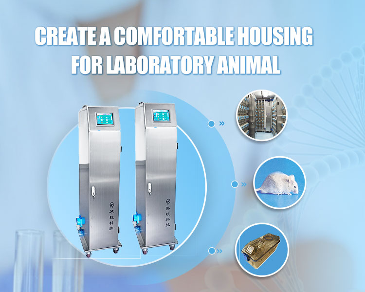 Experimental Animal, Laboratory Animal, Animal Cage, Individual ...